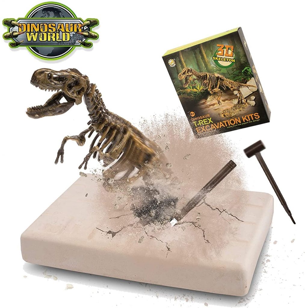 Science DIY Kit. Dinosaur Skeleton Fossil Excavation Kit for Kids